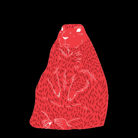 Prima GIFs on GIPHY - Be Animated