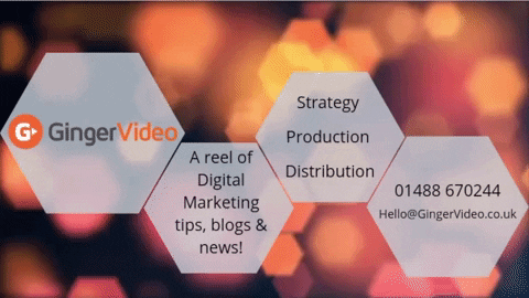 Ginger GIFs - Find & Share on GIPHY