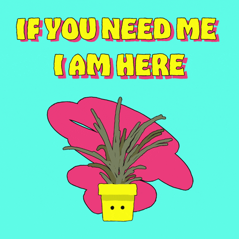 If You Need Me I Am Here GIFs - Get the best GIF on GIPHY
