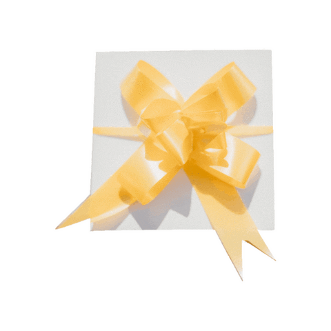 Leasing GIFs on GIPHY - Be Animated