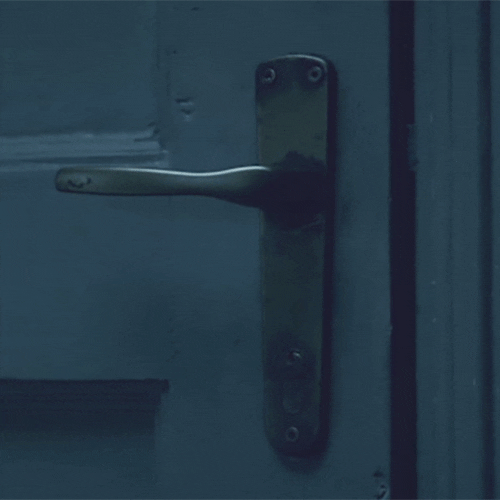 Cobweb GIFs on GIPHY - Be Animated