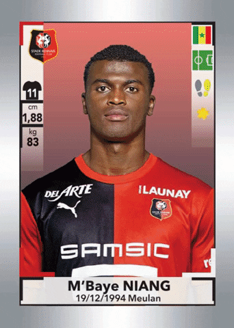 Panini France GIFs on GIPHY - Be Animated