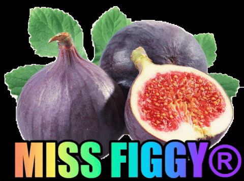 Figs GIFs - Get the best GIF on GIPHY