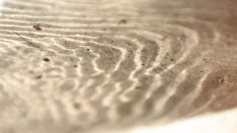 Beach Wave GIF by jorgemariozuleta - Find & Share on GIPHY