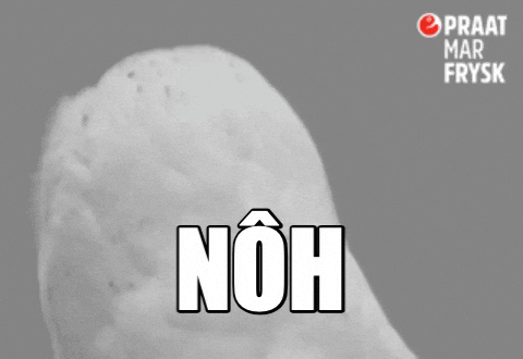 Daggy GIFs - Get the best GIF on GIPHY