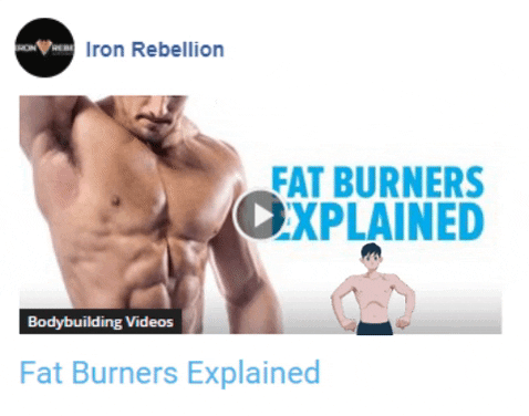 Bodybuilding Bodybuilder Gif By Gif - Find & Share on GIPHY