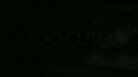 I Mean Seriously This Was Too Cute To Resist GIFs - Get the best GIF on ...