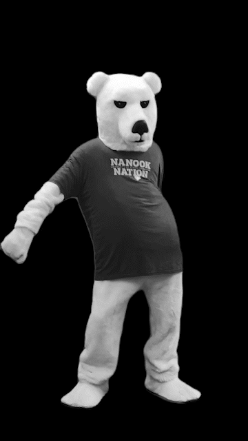Nanook-nation GIFs - Get the best GIF on GIPHY