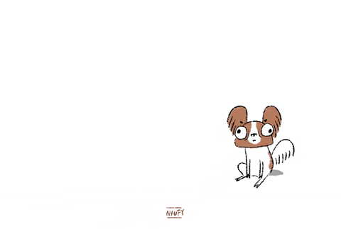 Niufy GIFs - Find & Share on GIPHY