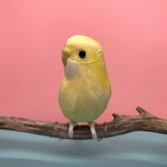 Sad Yellow Bird GIF by Julie Smith Schneider - Find & Share on GIPHY