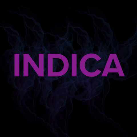 Marijuana Joint GIFs - Get the best GIF on GIPHY