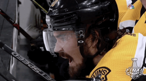 Screaming Ice Hockey GIF by NHL - Find & Share on GIPHY