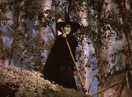 Wizard Of Oz GIFs - Find & Share on GIPHY