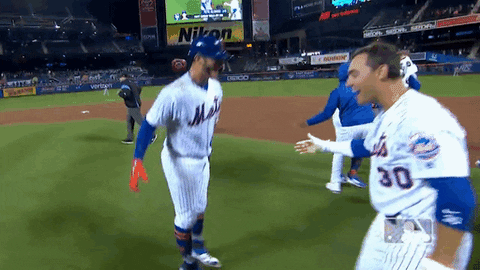 Ny Mets Celebration GIF by New York Mets - Find & Share on GIPHY