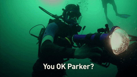 Discovery Channel Adventure GIF by Discovery Europe - Find & Share on GIPHY
