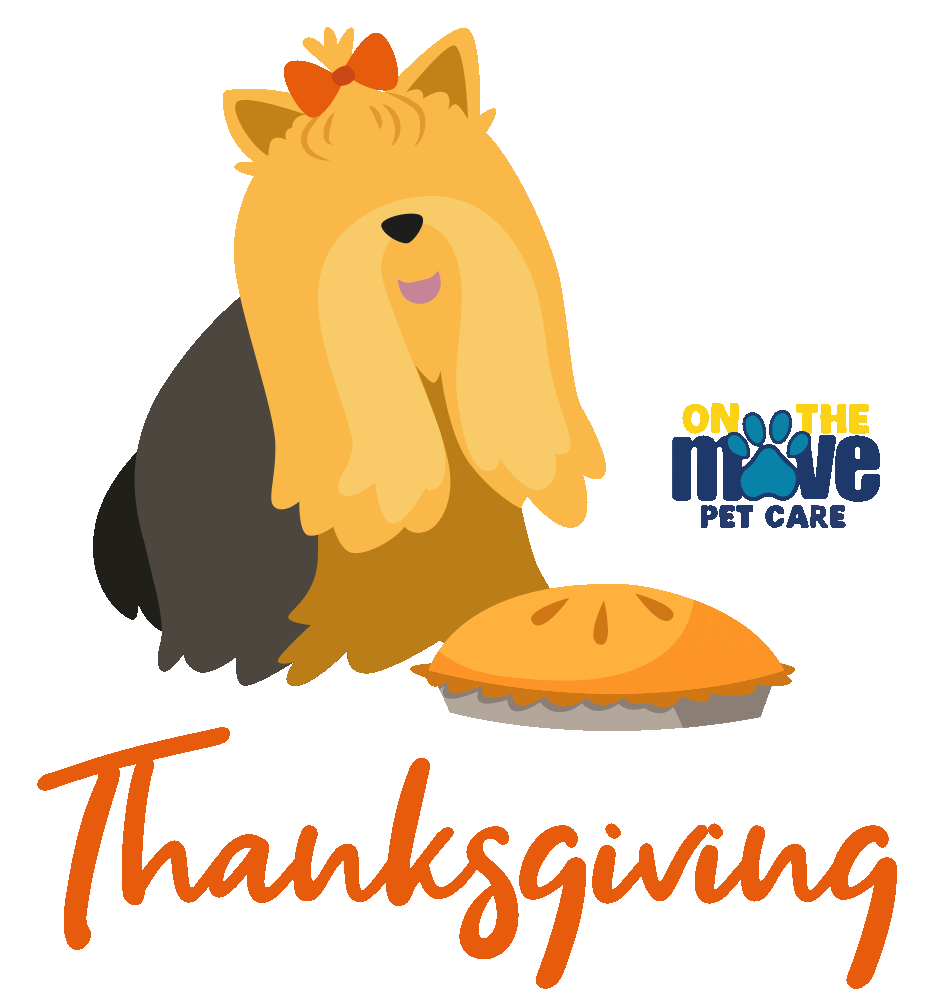 OTM Pet Care GIFs on GIPHY - Be Animated