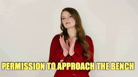 Permission To Approach The Bench GIFs - Get the best GIF on GIPHY