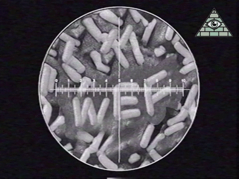 Wef GIFs - Get the best GIF on GIPHY