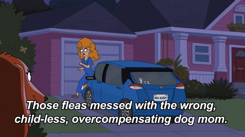 HouseBrokenFOX GIFs on GIPHY - Be Animated