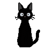 Transparent Cat Gif