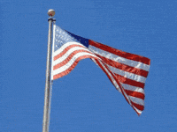 Lmanburg Flag Burning Gif