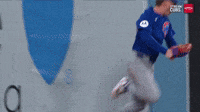 Chicago Cubs GIFs on GIPHY - Be Animated