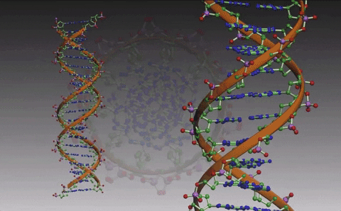 Metatrons Cube GIFs - Get the best GIF on GIPHY