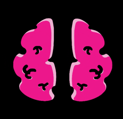 Half Brain Toys GIFs on GIPHY - Be Animated