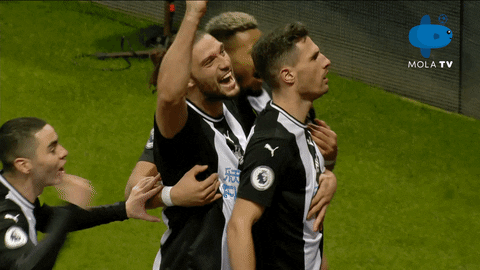 Everton Newcastleunited GIF by MolaTV - Find & Share on GIPHY