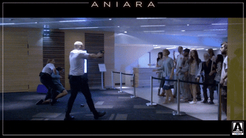 Movie Film GIF by Arrow Video - Find & Share on GIPHY