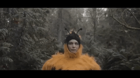 Run Bee GIF by The Head And The Heart - Find & Share on GIPHY