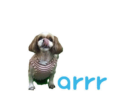 아르르 Sticker by arrr_official for iOS & Android | GIPHY