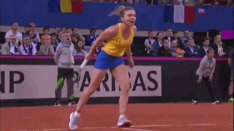 Celebration Tennis GIF by Fed Cup by BNP Paribas - Find & Share on GIPHY