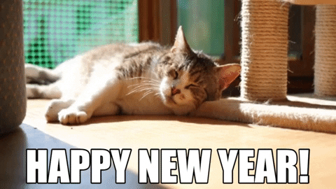 New Year Eve GIFs - Get the best GIF on GIPHY