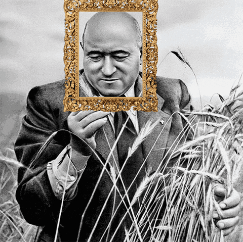 Unga Bunga GIFs - Get the best GIF on GIPHY