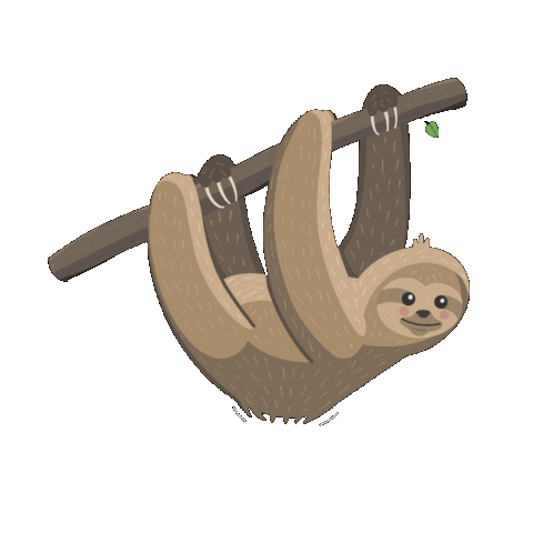 Codlata Sloth Gif