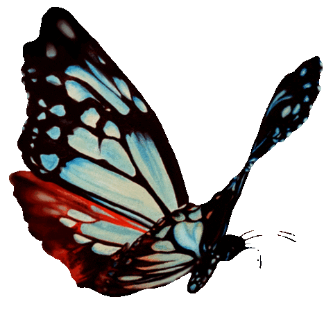 Art Sticker for iOS & Android | GIPHY