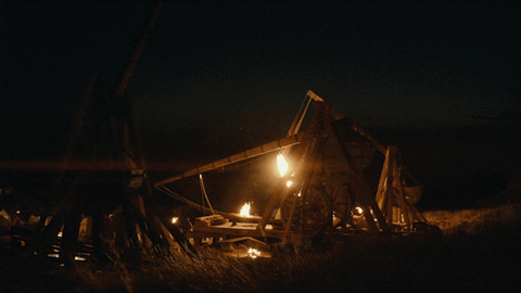 Timothee Chalamet GIF by NETFLIX - Find & Share on GIPHY