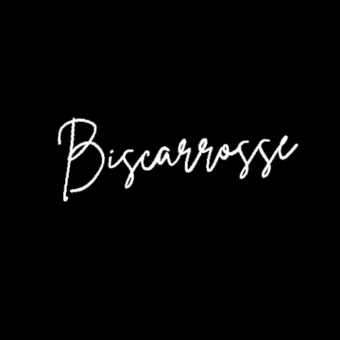 Bisca-connell GIFs - Get the best GIF on GIPHY