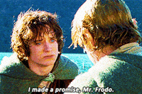 Lord Of The Rings Gif Frodo