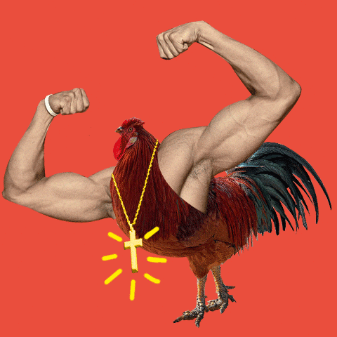 Birds With Arms GIFs - Get the best GIF on GIPHY