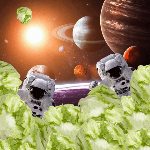 Eating In Space GIFs - Get the best GIF on GIPHY