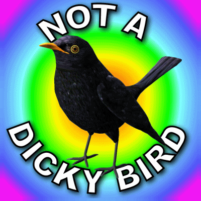 Dicky-bird GIFs - Get the best GIF on GIPHY