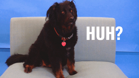 I Know Huh GIFs - Get the best GIF on GIPHY