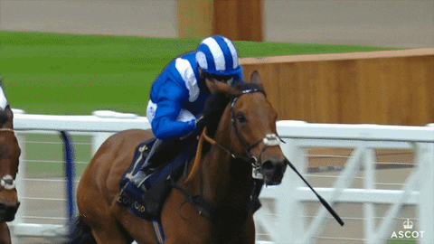 Horse Racing Run GIF by Ascot Racecourse - Find & Share on GIPHY