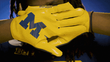 Michigan-wolverines-football GIFs - Get the best GIF on GIPHY