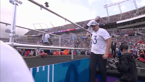 Atlanta Falcons GIFs on GIPHY - Be Animated