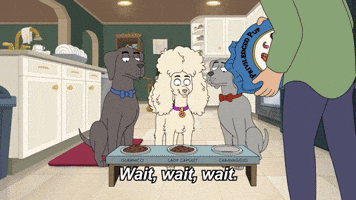 Housebroken GIFs on GIPHY - Be Animated