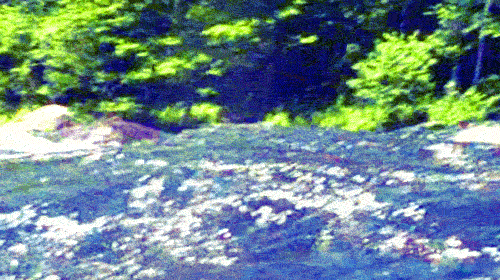 White Water GIF by The NGB - Find & Share on GIPHY