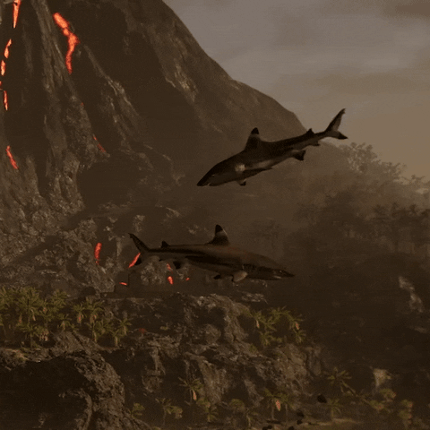 Flying Shark GIFs - Get the best GIF on GIPHY